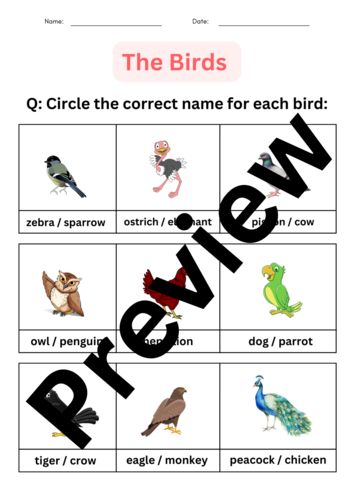 printable matching and Identify birds worksheet for kindergarten ...
