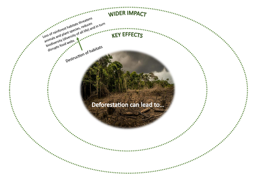 Human influences on the environment - A complete set of resources ...