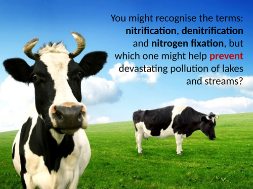 Human influences on the environment - A complete set of resources ...
