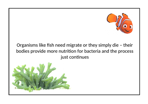 Human influences on the environment - A complete set of resources ...