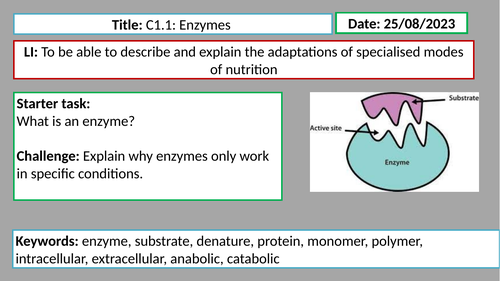 IB Biology C1.1: Enzymes (first exams in 2025) | Teaching Resources