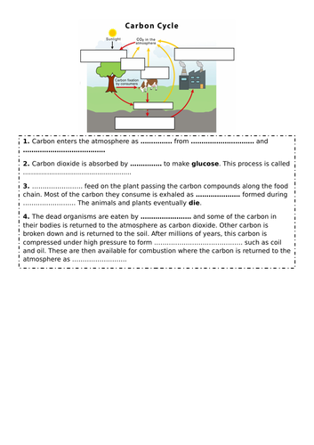 WJEC GCSE Theme 5: Lesson 2: Carbon Cycle | Teaching Resources