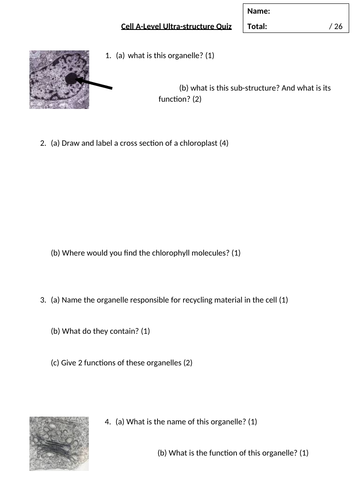 A-Level AQA Biology - Specialised Cells | Teaching Resources
