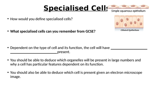 A-Level AQA Biology - Specialised Cells | Teaching Resources