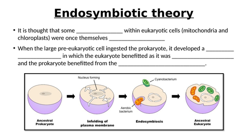 A-Level AQA Biology - Prokaryotic Cells and Viruses | Teaching Resources