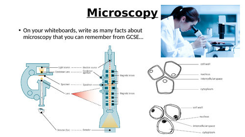 A-Level AQA Biology - Cell Structure Bundle | Teaching Resources
