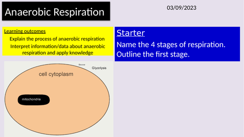 AQA A level Respiration | Teaching Resources
