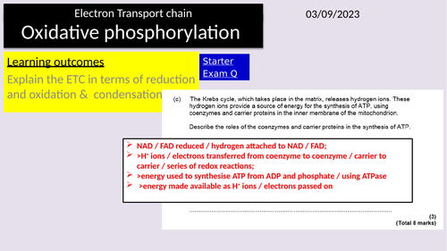 AQA A level Respiration | Teaching Resources