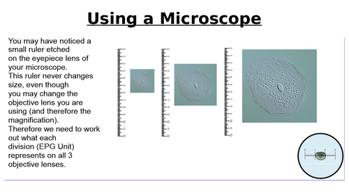 A-Level AQA Biology - Measuring Cells | Teaching Resources