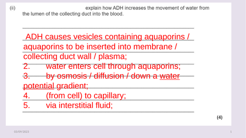 AQA A level Homeostasis | Teaching Resources
