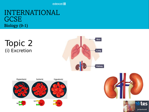 iGCSE Biology Resource Bundle Full course | Teaching Resources