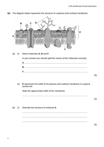 Biological membranes OCR A-level Biology recap & revision activities ...