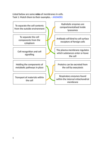 Biological membranes OCR A-level Biology recap & revision activities ...