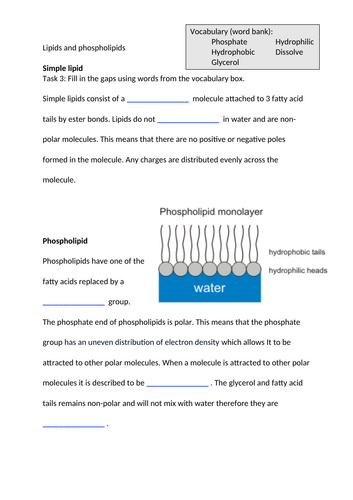 Biological membranes OCR A-level Biology recap & revision activities ...