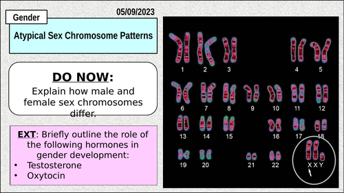 ATYPICAL SEX CHROMOSOME PATTERNS [A-Level Psychology - Gender Topic ...
