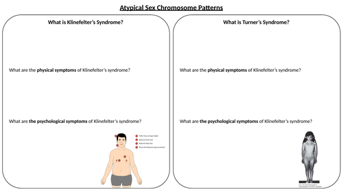 Atypical Sex Chromosome Patterns [a Level Psychology Gender Topic