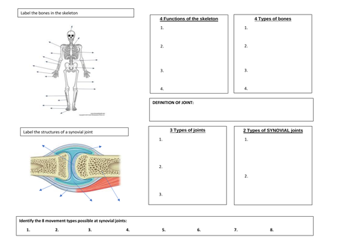 Cambridge Igcse Pe Topic 1 Anatomy And Physiology Knowledge Organisers Entire Topic Teaching