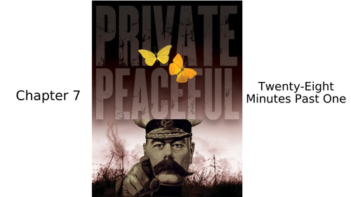 Private Peaceful Lessons | Teaching Resources