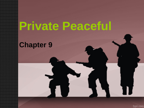 Private Peaceful Lessons | Teaching Resources