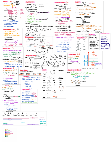 Ultimate 1 page cheat sheet for Organic Chemistry II exam | Teaching ...