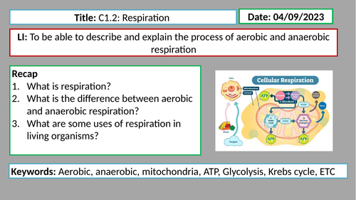 IB Biology C1.2: Respiration (first exams in 2025) | Teaching Resources