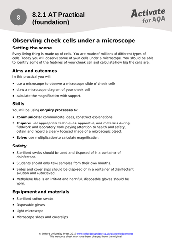 Observing cells KS3 | Teaching Resources