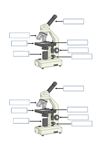Observing cells KS3 | Teaching Resources