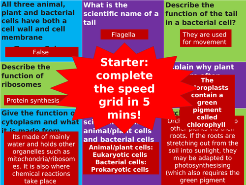 Observing cells KS3 | Teaching Resources