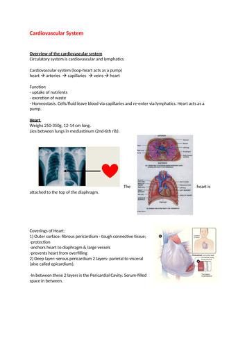 Cardiovascular system | Teaching Resources