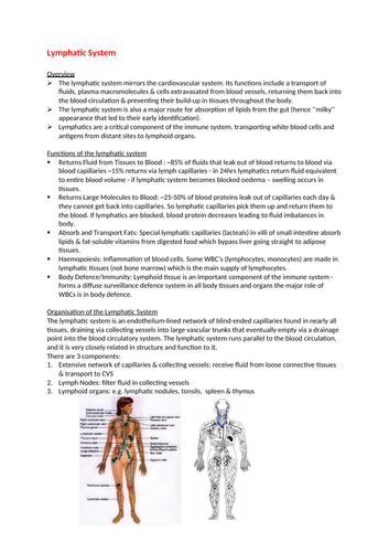 Lymphatic system | Teaching Resources