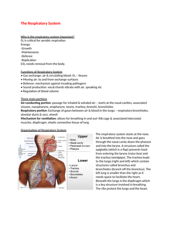 Respiratory system | Teaching Resources