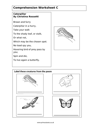 KS1 Classic Poetry Lesson: Caterpillar Poem with Comprehension and ...