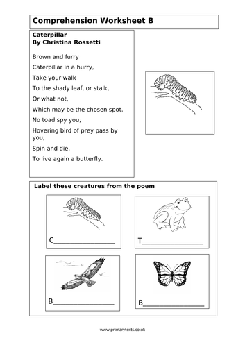 KS1 Classic Poetry Lesson: Caterpillar Poem with Comprehension and ...
