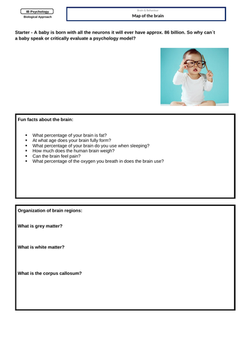 IB Psychology: Biological approach: Map of the brain | Teaching Resources