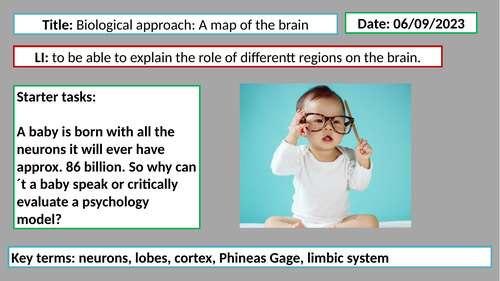IB Psychology: Biological approach: Map of the brain | Teaching Resources