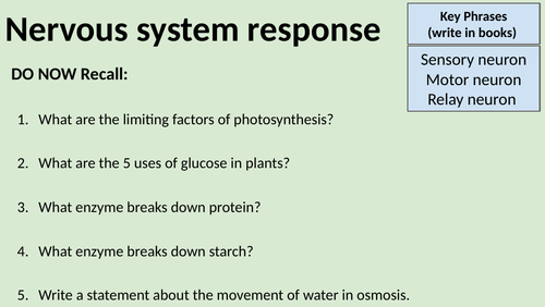 AQA GCSE Biology B5 L3 Reactions + reflexes | Teaching Resources