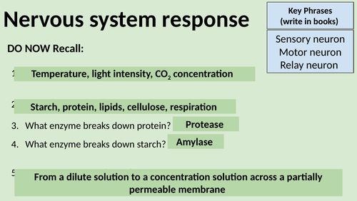 AQA GCSE Biology B5 L3 Reactions + reflexes | Teaching Resources