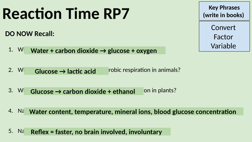 AQA GCSE Biology B5 RP7 reaction time | Teaching Resources