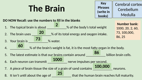 AQA GCSE Biology B5 The Brain | Teaching Resources