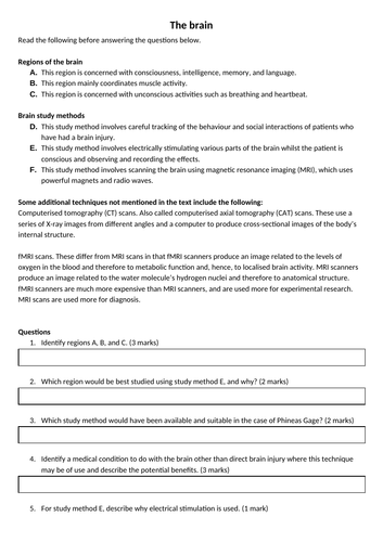 AQA GCSE Biology B5 The Brain | Teaching Resources