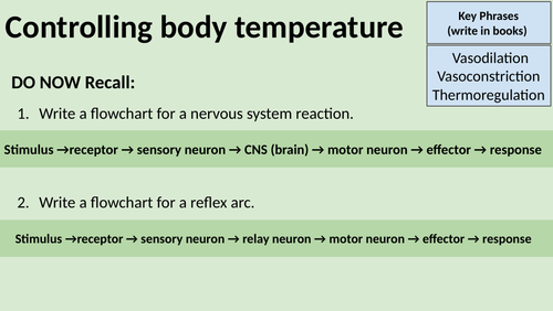 AQA GCSE Biology B5 Thermoregulation | Teaching Resources