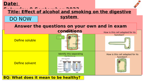 KS3 - Effect of alcohol and smoking on the digestive system | Teaching ...