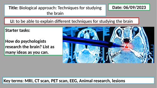 IB Psychology: Techniques and methods to study the brain | Teaching ...