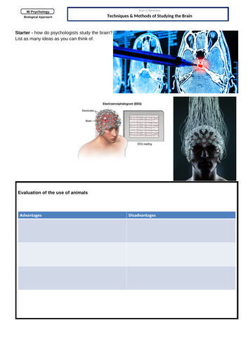 IB Psychology: Techniques and methods to study the brain | Teaching ...