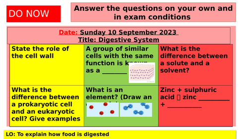 KS3 - Digestive System 2023 | Teaching Resources