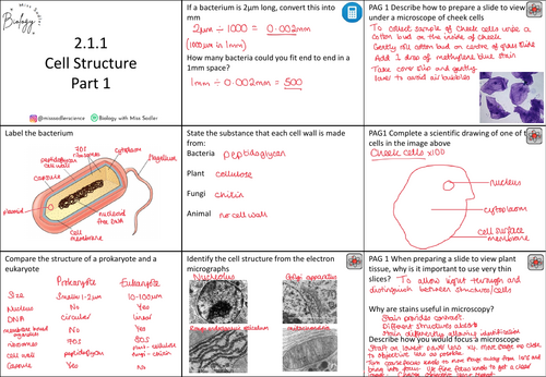 2.1.1 Cell structure revision grid OCR A level biology | Teaching Resources