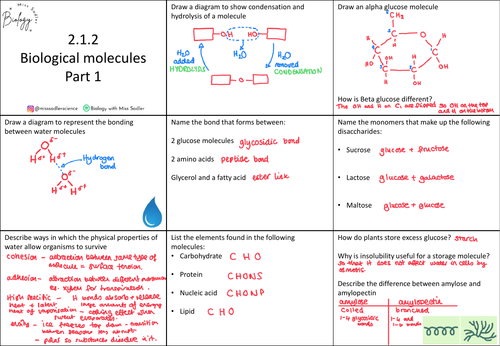 2.1.2 Biological molecules revision grid OCR A level Biology with ...