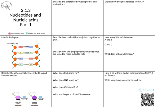 2.1.3 nucleotides and nucleic acids revision grid OCR A level Biology ...