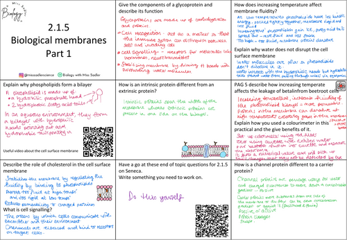 2.1.5 Biological membranes revision grid OCR A level biology | Teaching ...