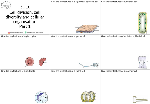 2.1.6 Cell division, diversity and organisation revision grid OCR A ...